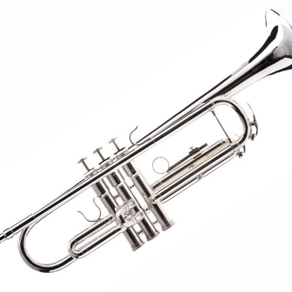 The 5 Best Student Trumpet Brands for Beginners (Reviews – 2025 ...