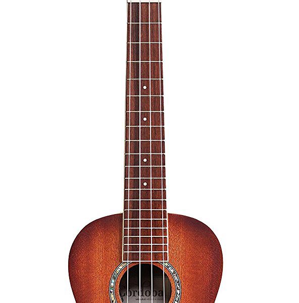 The 7 Best Electric Ukuleles (Reviews-2022) | SonoBoom.com