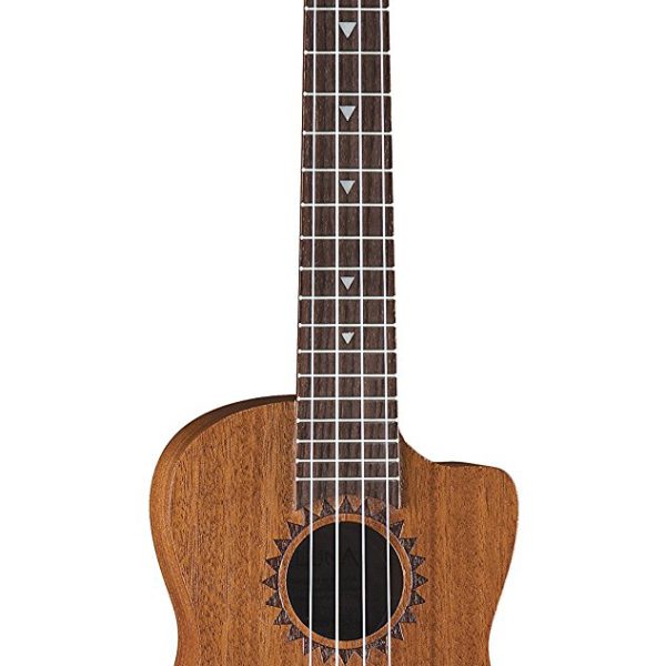 The 7 Best Electric Ukuleles (Reviews-2022) | SonoBoom.com