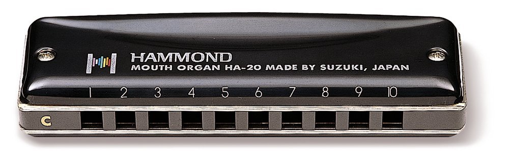 The 4 Best Harmonicas for Beginners (Reviews – 2025) | SonoBoom.com