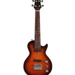 The 7 Best Electric Ukuleles (Reviews-2022) | SonoBoom.com