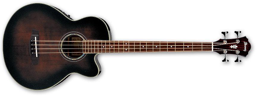 What’s the Best Acoustic-Electric Bass? (Reviews – 2021) | SonoBoom.com