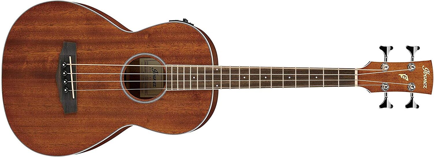 What’s the Best Acoustic-Electric Bass? (Reviews – 2022) | SonoBoom.com